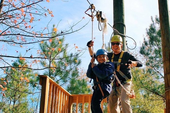 Small-Group Zipline Tour in Hot Springs - The Sum Up