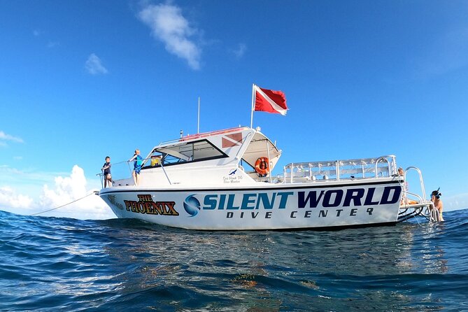 Small - Guided Shallow 2 Tank Dive Experience in Key Largo ALL GEAR INCLUDED - Why This Tour Offers Good Value