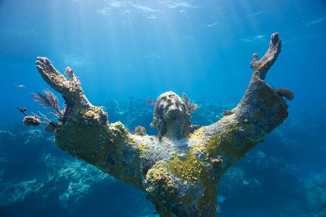 Small - Guided Shallow 2 Tank Dive Experience in Key Largo ALL GEAR INCLUDED - Who Should Book This Tour
