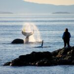 Smartphone Driving Tour between Santa Maria & Monterey 'Big Sur' - Practical Aspects and Experience Quality