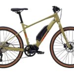 Smith Mountain Lake Weekly Ebike Rental with Delivery - Who Will Get the Most Out of This Experience?