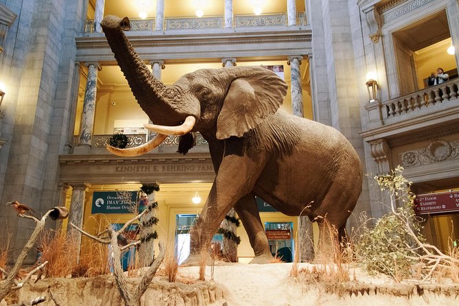 Smithsonian Museum of Natural History - Exclusive Guided Tour - Why This Tour Works