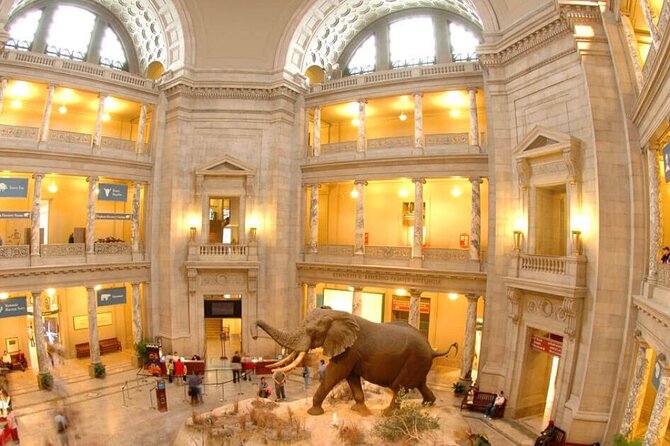 Smithsonian Museums Day Trip - Value for Money