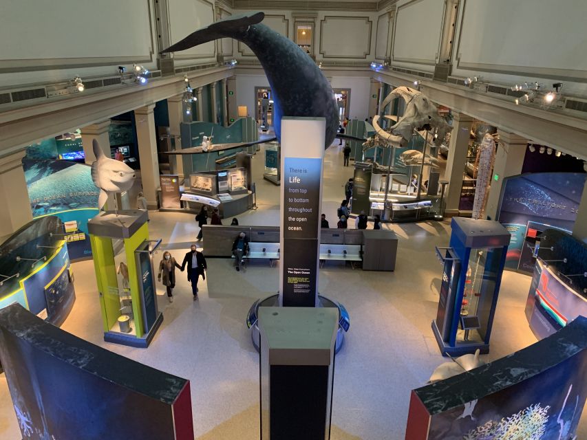 Smithsonian National Museum of Natural History Guided Tour - Introduction