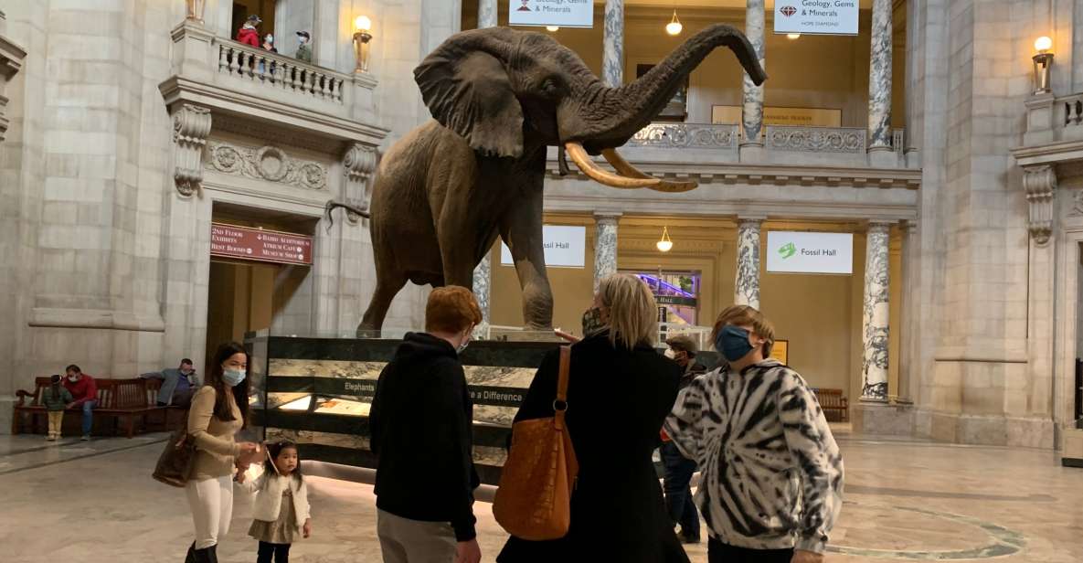 Smithsonian National Museum of Natural History Guided Tour - Why This Tour Is a Great Choice