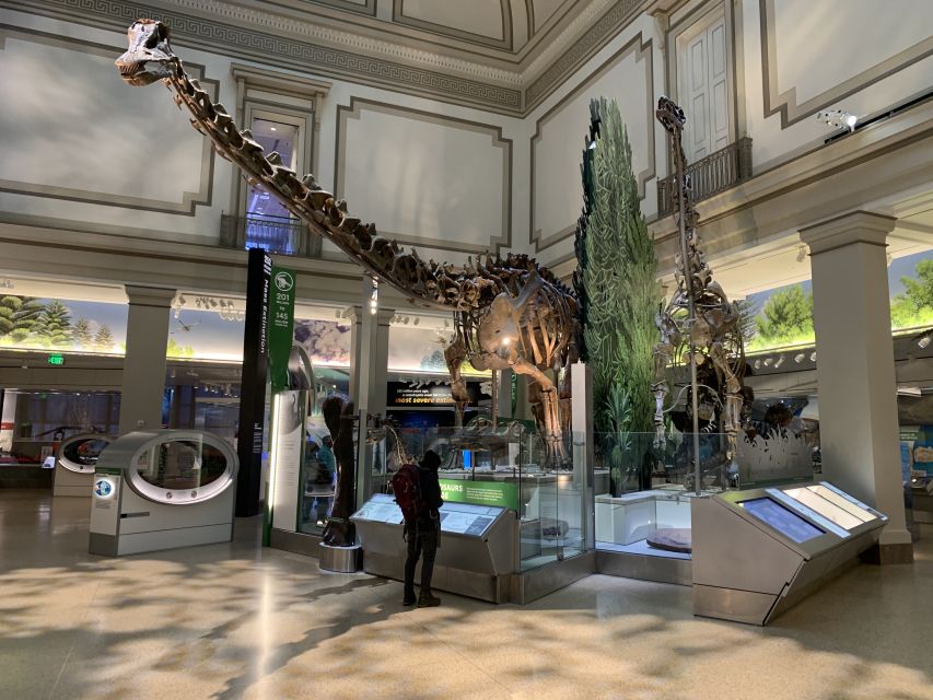 Smithsonian National Museum of Natural History Guided Tour - Final Thoughts