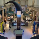 Smithsonian National Museum of Natural History with Guided Tour - The Good and the Not-So-Good