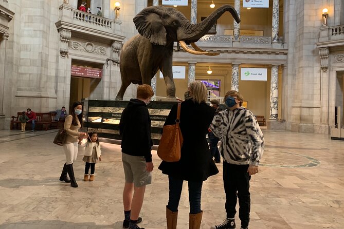 Smithsonian National Museum of Natural History with Guided Tour - The Sum Up: Who Should Consider This Tour?