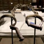 Smithsonian Natural History + American History - Exclusive Tour - Why This Tour is a Great Choice