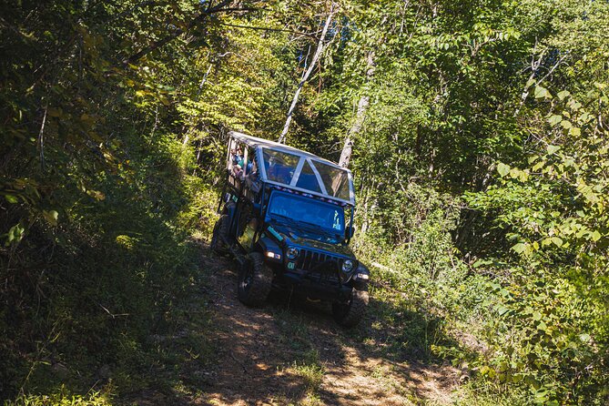 Smoky Mountains Newfound Gap Jeep Tour - The Value Proposition: Is It Worth the Price?