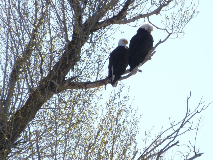 Snake River Full-Day Group Fishing Trip - Key Points  