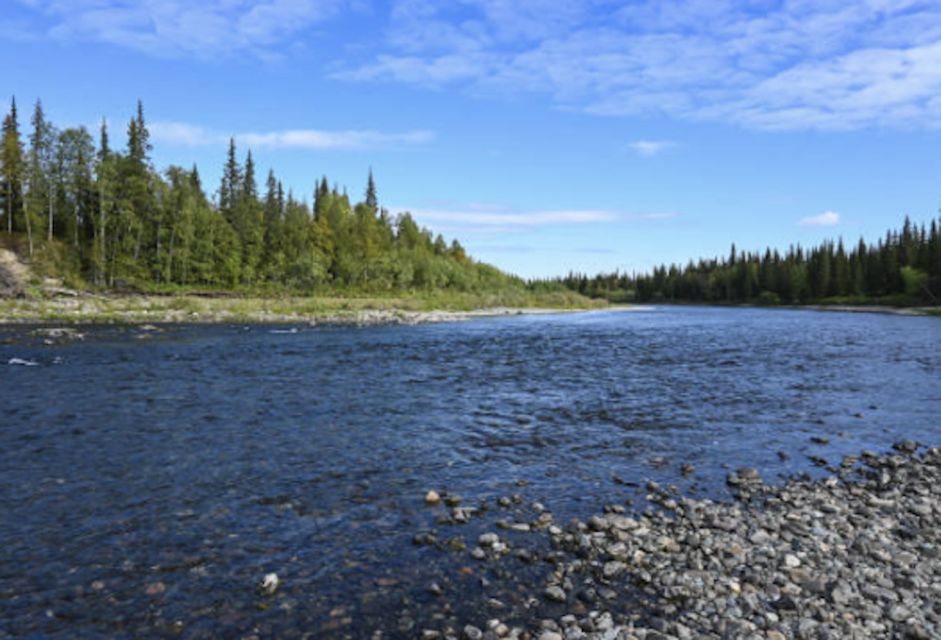 Snake River Full-Day Group Fishing Trip - Authentic Experiences and Guest Insights