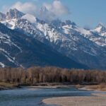 Snake River Scenic Float - Why This Tour Works
