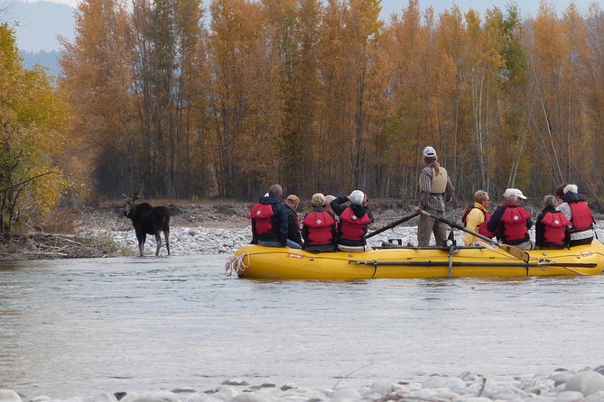 Snake River Scenic Float Trip with Teton Views in Jackson Hole - Final Thoughts