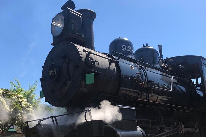 Snoqualmie Fall & Railway Museum 3-Hours (Private Tour) - An In-Depth Look at the Tour Experience  