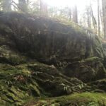 Snoqualmie falls and Twin Falls Hike - The Experience You’ll Take Home