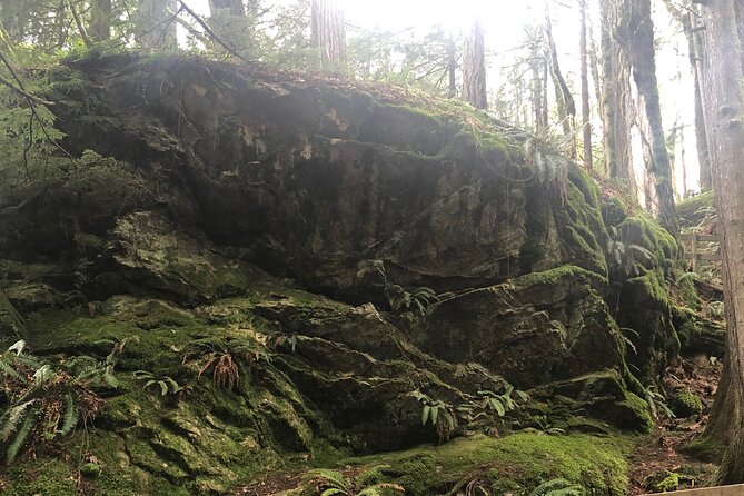 Snoqualmie falls and Twin Falls Hike - The Experience You’ll Take Home