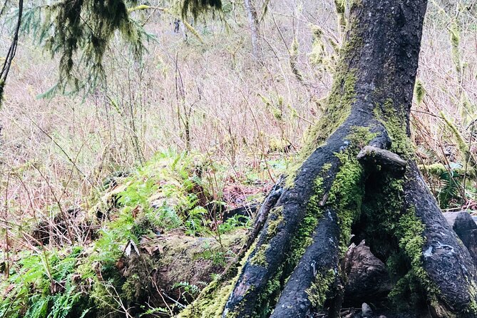 Snoqualmie falls and Twin Falls Hike - Final Thoughts