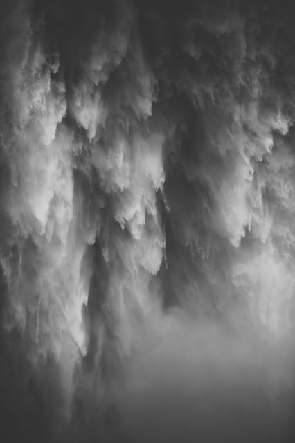 Snoqualmie, Twin Falls & Ancient Forest (Transport Included) - What Makes This Tour Stand Out?