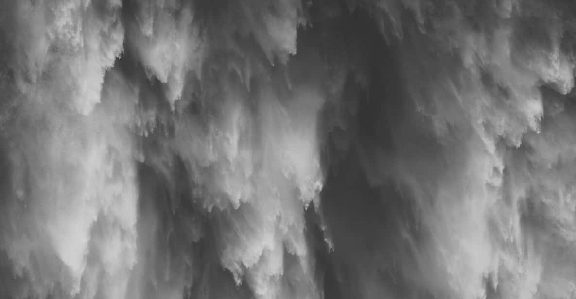Snoqualmie, Twin Falls & Ancient Forest (Transport Included) - Authentic Experiences and Insights