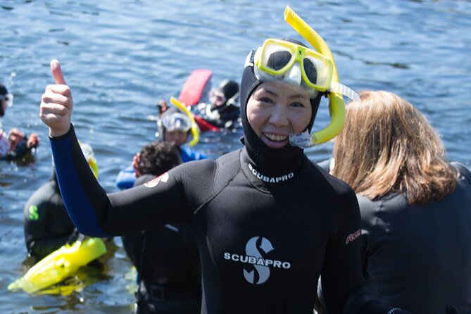 Snorkel Alaska - Final Thoughts