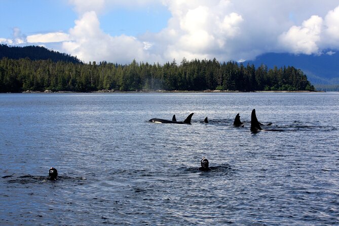 Snorkel Alaska - FAQ