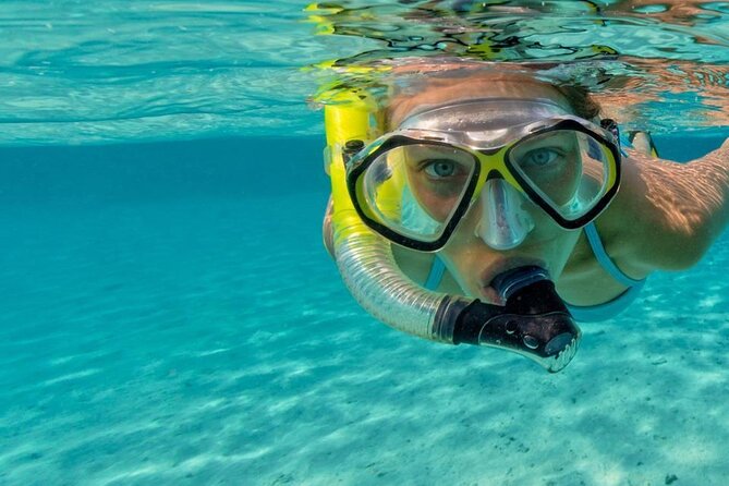 Snorkel Fort Lauderdale Jean Cousteaus Reef and Snorkel Trail - What to Expect on the Tour