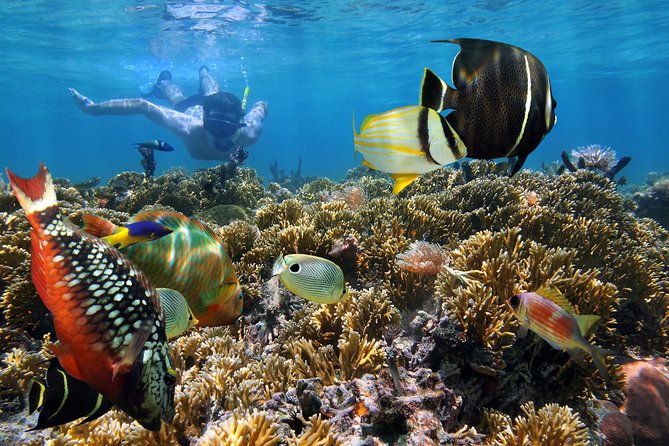 Snorkel Gears near Hanauma Bay - Final Thoughts