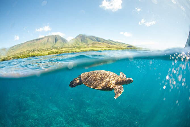 Snorkel Sail Adventure off Ka'anapali Beach, Maui - Exploring the Snorkel Sail Adventure off Kaanapali Beach, Maui