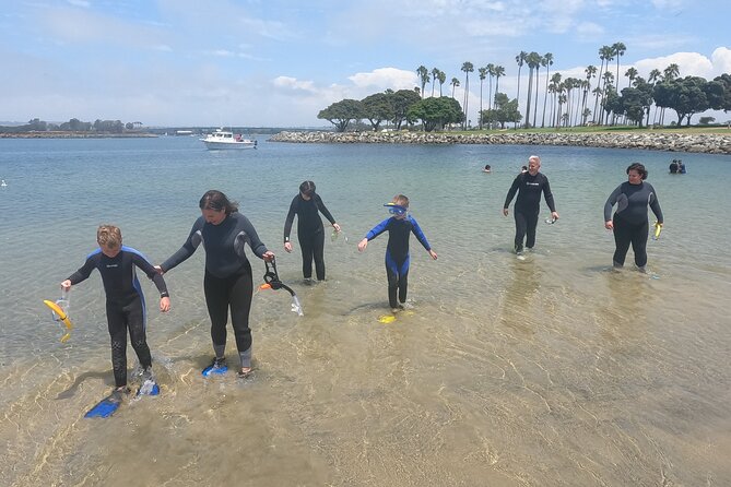 Snorkel San Diego's Mission Bay with a Marine Biologist - Why This Tour Is Such a Great Value
