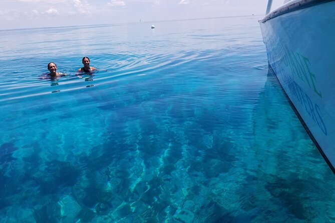 Snorkel, Sandbar & Dolphin Excursion - The Allure of a Private Tour in Key West