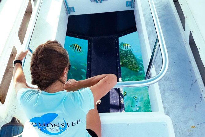 Snorkel, Sandbar & Dolphin Excursion - The Highlights of the Itinerary