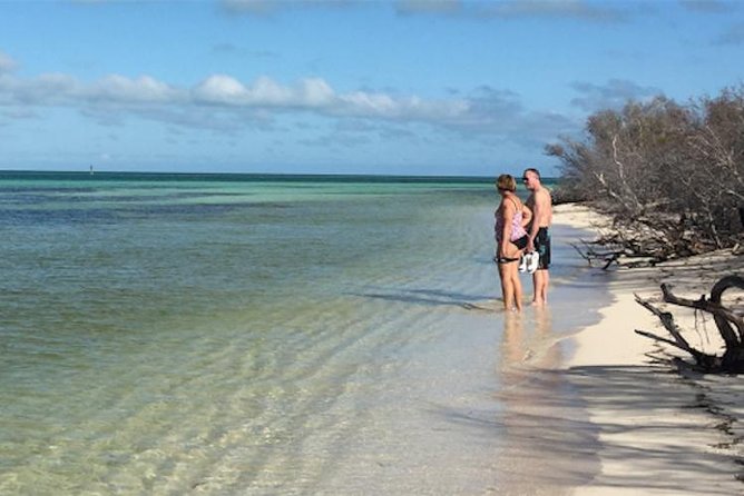 Snorkel, Sandbar & Dolphin Excursion - Snorkeling and Dolphin Watching
