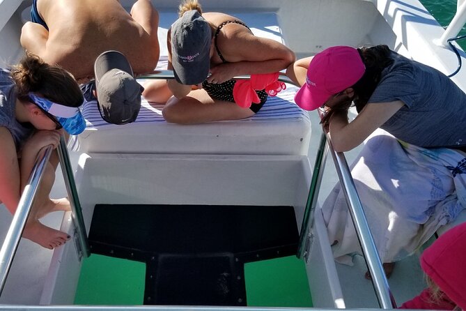 Snorkel, Sandbar & Dolphin Excursion - Relaxing on the Sandbar