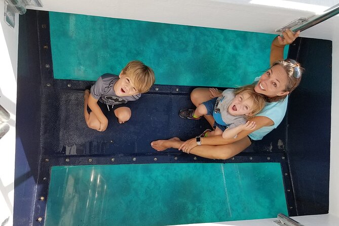 Snorkel, Sandbar & Dolphin Excursion - Practical Considerations