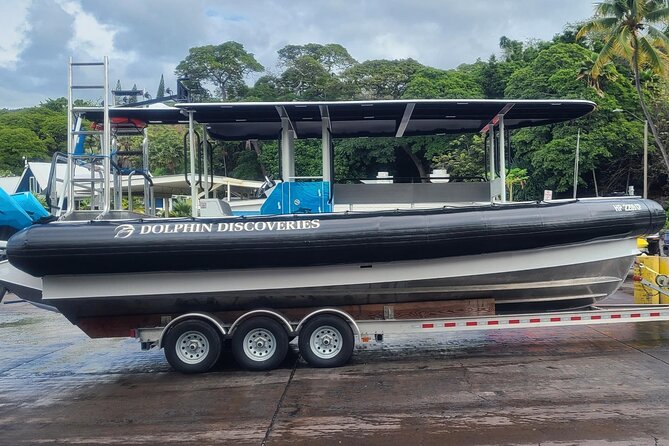 Snorkel Tour to Captain Cook Monument Kailua-Kona, Big Island - Authentic Marine Encounters and Reviews