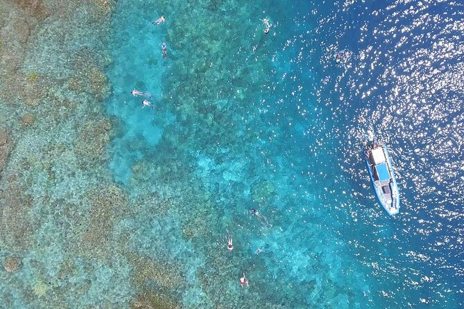 Snorkel Tour to Captain Cook Monument Kailua-Kona, Big Island - In Closing