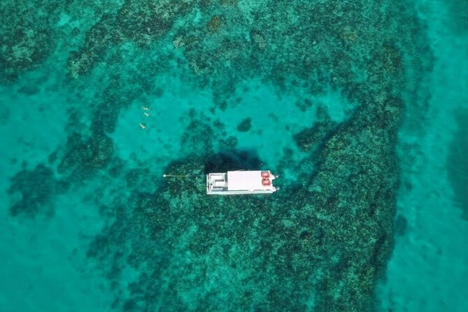 Snorkel Tour - Visit 2 Shallow Reefs John Pennekamp State Park - Practical Considerations