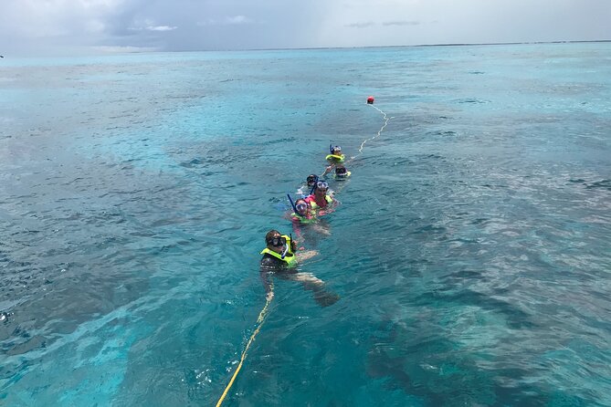 Snorkel Tours to Key Largo reef for up to 6 people-INCLUDES GEAR! - Why Choose This Snorkel Tour in Key Largo?