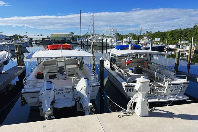 Snorkel Tours to Key Largo reef for up to 6 people-INCLUDES GEAR! - What to Expect: The Itinerary in Detail