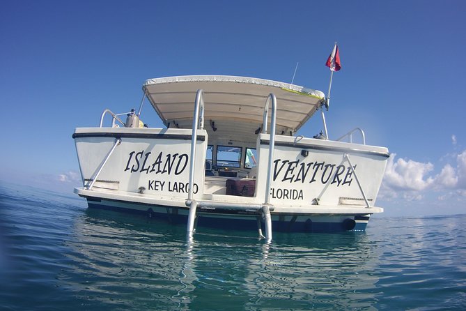 Snorkel Tours to Key Largo reef for up to 6 people-INCLUDES GEAR! - Who Will Love This Tour?