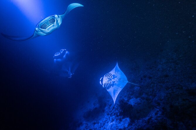 Snorkel With Giant Manta Rays In Kailua Kona - Frequently Asked Questions