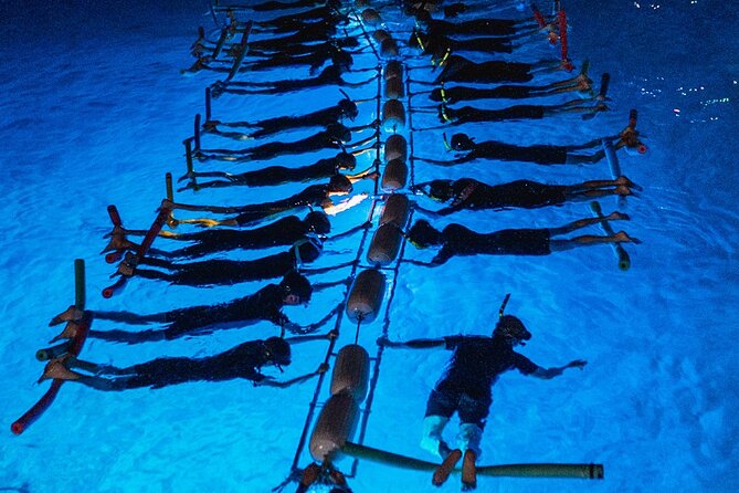 Snorkel with Manta Rays Guaranteed - Final Thoughts: Is It Worth It?