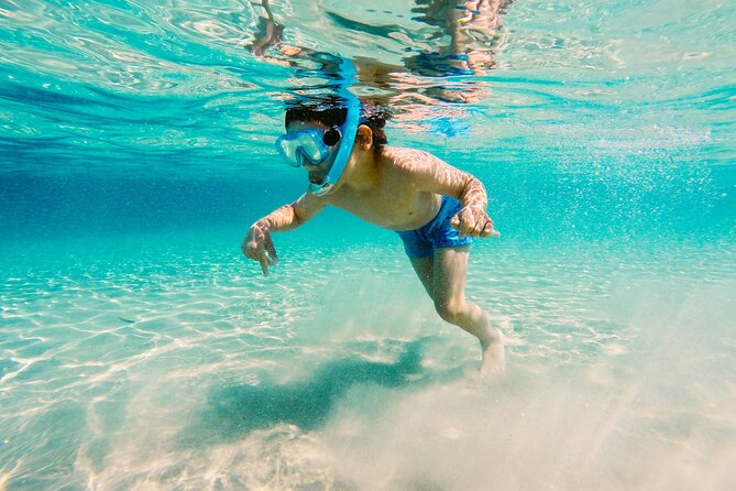 Snorkeling and Dolphin Watching Experience in Destin - Snorkeling Details: What You Need to Know