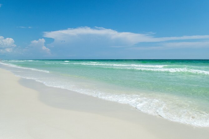 Snorkeling and Dolphin Watching Experience in Destin - Comfort, Convenience, and Logistics