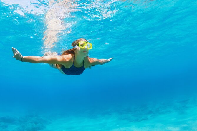Snorkeling and Dolphin Watching Experience in Destin - Overall Experience and Final Thoughts