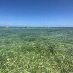SNORKELING and SANDBAR ADVENTURE! - What About the Cost?
