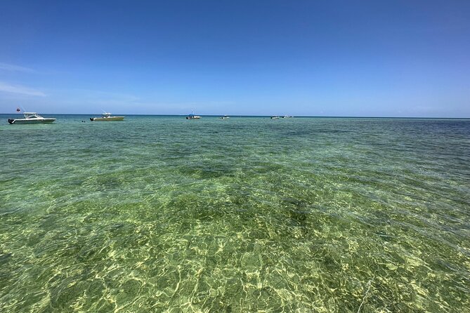 SNORKELING and SANDBAR ADVENTURE! - What About the Cost?