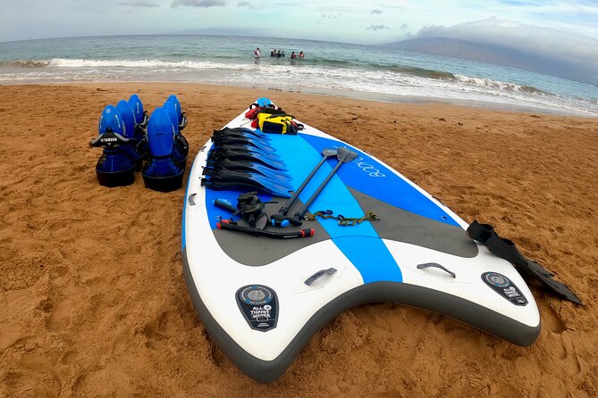 Snorkeling for Non-Swimmers Guided Tour - Wailea Beach - What to Expect in Detail