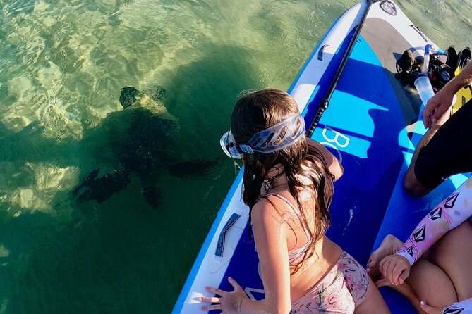 Snorkeling for Non-Swimmers Guided Tour - Wailea Beach - Who Will Love This Tour?